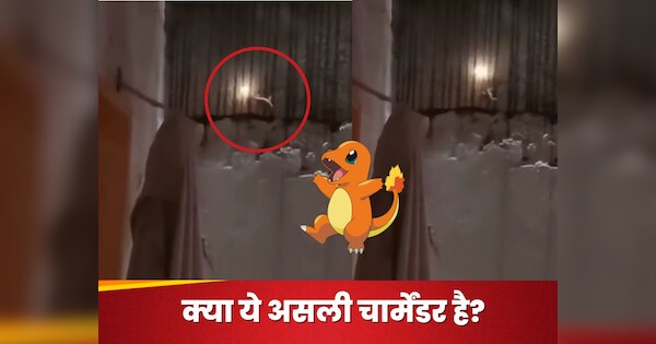 Lizard Fire Pokemon charmander viral video lightbulb-lizard fire tail ...