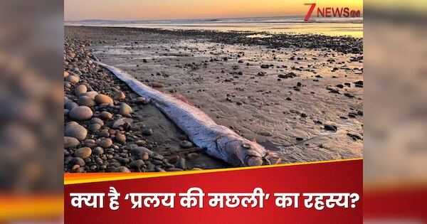 Why oarfish considered the fish of doomsday and what is reason behind ...