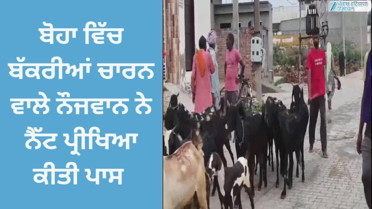 young goat herder from Boha has cleared UGC NET exam | Mansa News: ਬੋਹਾ ...
