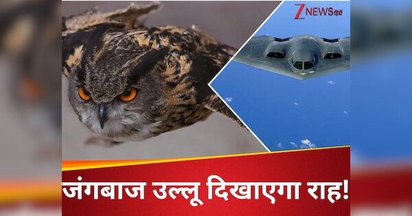 Owls inspire future aircraft new innovation all you need to know | 'उल्लू' देगा आपकी जान बचाने ...