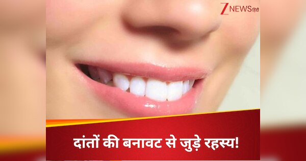 teeth shape Astro what your teeth say about your personality luck and ...