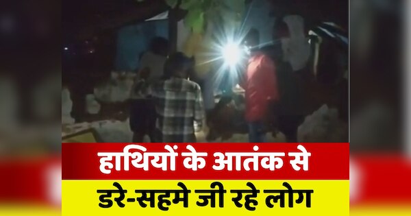 wild elephants terror continues in Latehar Jharkhand Video | Latehar ...