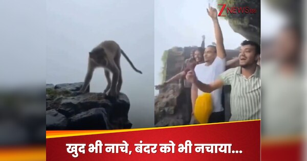 Monkey seen dancing with boys gang funny watch video viral x social ...