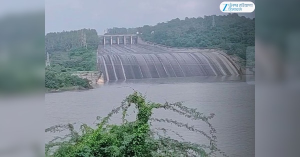 Pong Dam News: ਪੌਂਗ ਡੈਮ ਤੋਂ 40 ਹਜ਼ਾਰ ਕਿਊਸਿਕ ਪਾਣੀ ਛੱਡਿਆ; ਪੰਜਾਬ ਦੇ ਕਈ ...