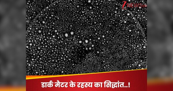 mirror matter theory dark matter shadow world explained Scientific ...