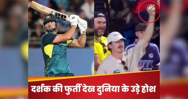 AUS vs SA Spectator takes Brilliant one handed catch Video Viral Tim ...