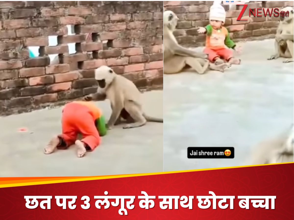 baboon with child Video Viral instagram reels langur ke sath baccha ...