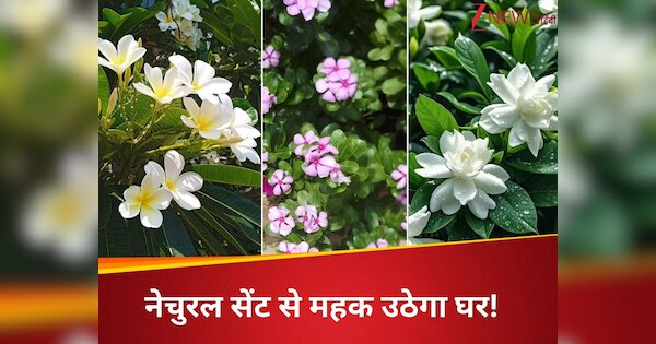 scented flowers plants ideas for home khusbu ke liye ghar mein lagyein ...