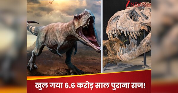 t rex fossil blood vessels discovery scotty dinosaur | पहली बार ...