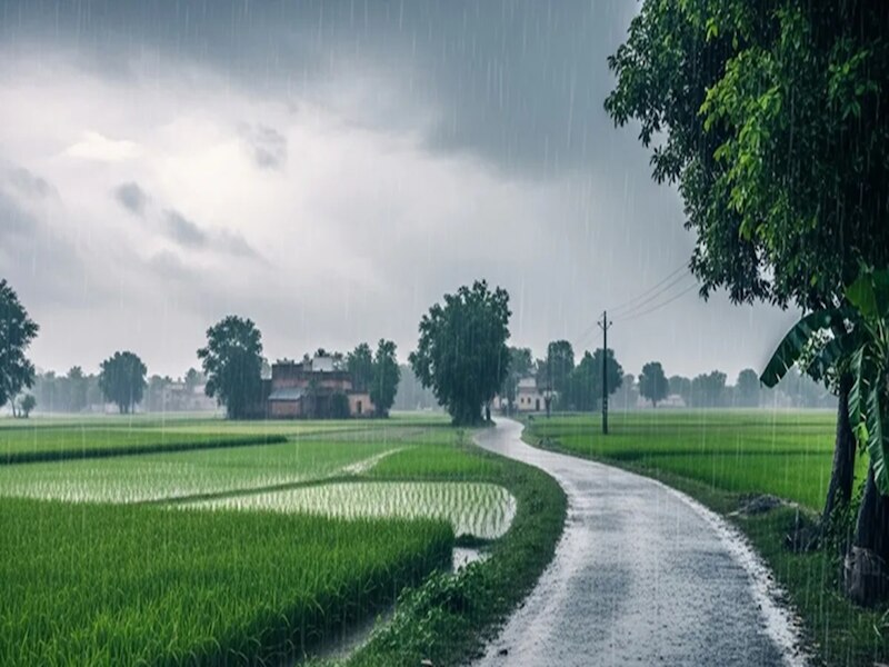 up weather update 20 august 2025 today monsoon weather turns harsh may relief this day IMD rain ...