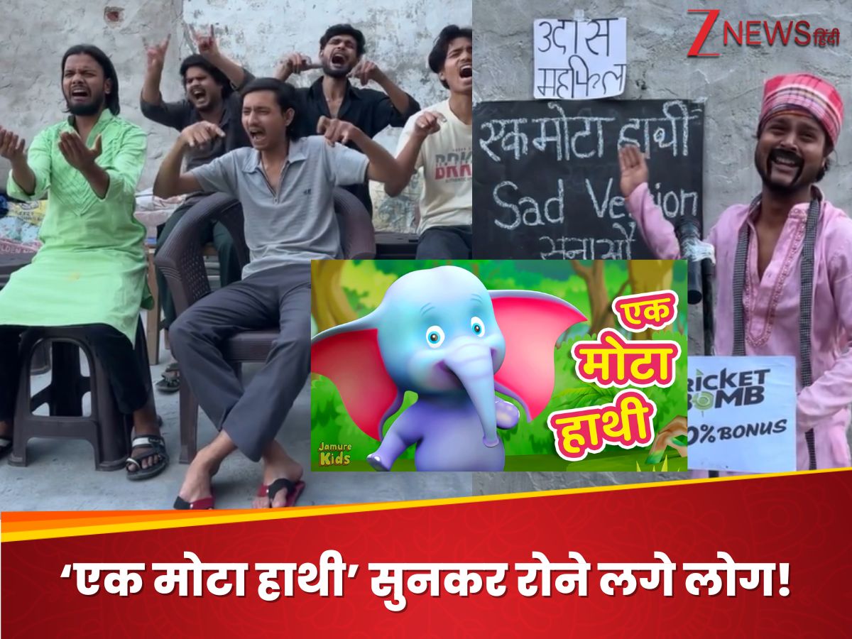 ek mota hathi sad version lyrics song funny video instagram reels viral ...