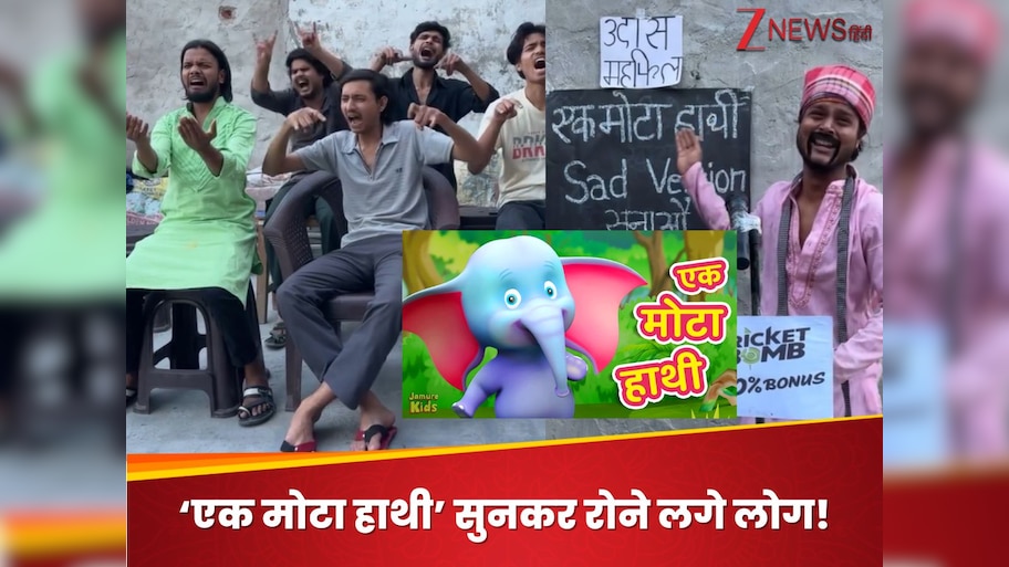 ek mota hathi sad version lyrics song funny video instagram reels viral ...