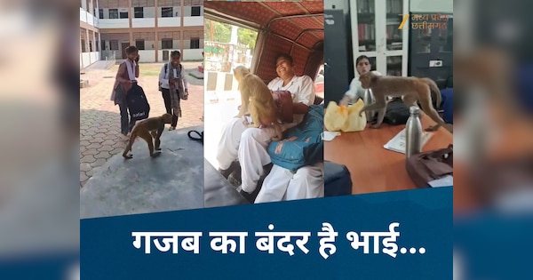 satna indra girls college Bandar viral video Monkey had fun with girl ...
