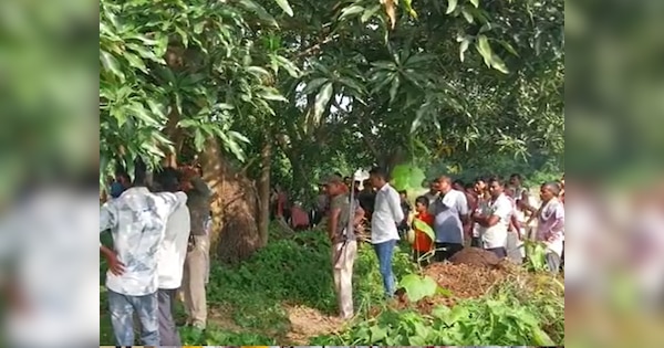 Student body found hanging from a mango tree father and stepmother ...