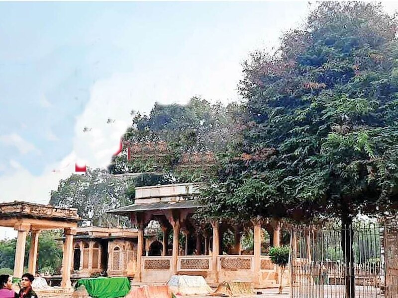 gwalior history of tamarind tree also known as tansen tree secret is ...