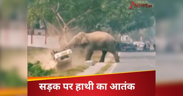 Hathi Ka Video: WATCH Uncontrollable elephant created panic on the road ...