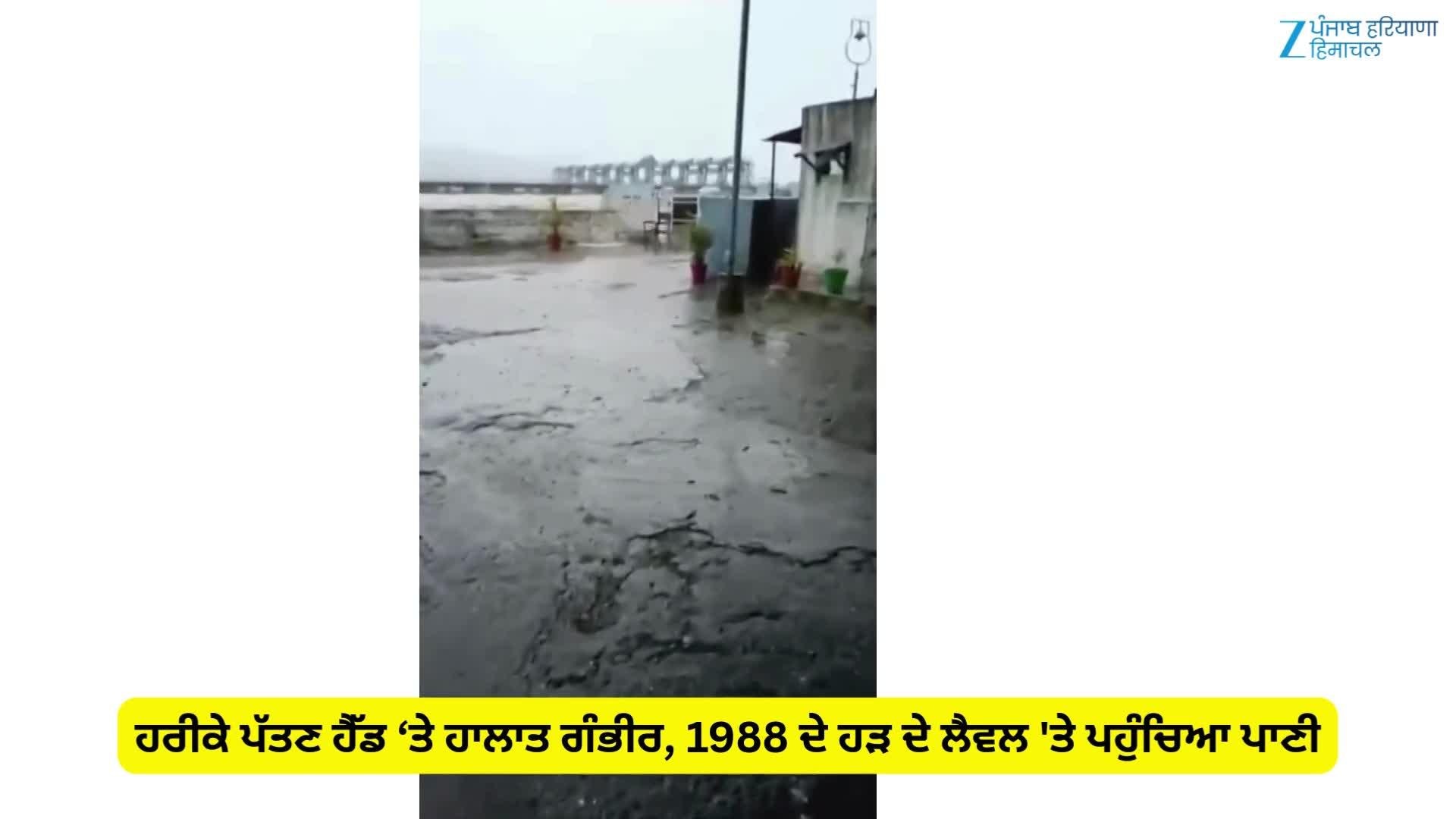 Situation critical at Harike Pattan Head water level reaches 1988 flood ...