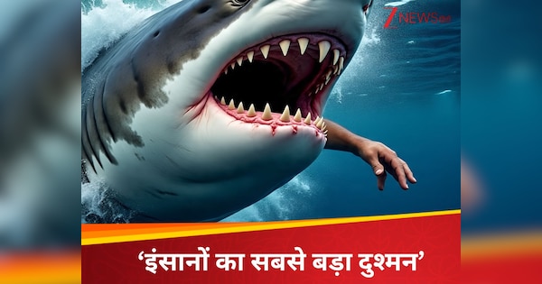 Shark murder mystery when Shar spit rat bird and human armed and ...
