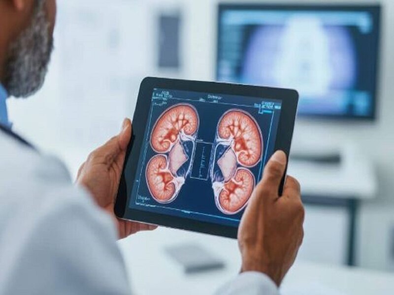 Kidney Treatment Ayurveda: କିଡନୀ ରୋଗ ପାଇଁ ଆୟୁର୍ବେଦରେ ରହିଛି ୩ଟି ଔଷଧି ...