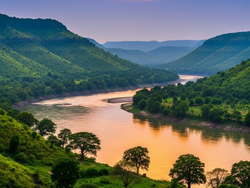 nimad neem tree origin unique history of madhya pradesh famous region ...