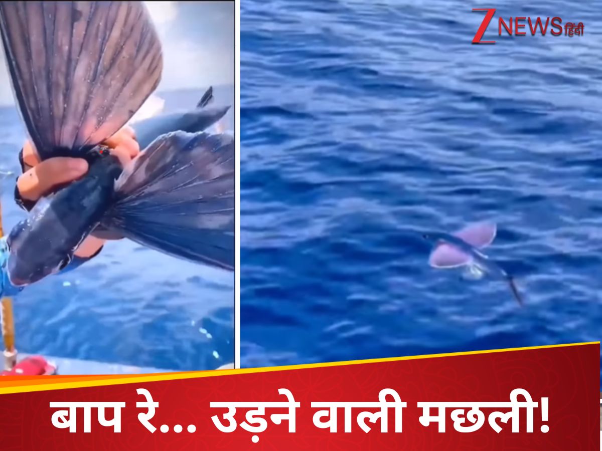 udne wali machli fyling fish video viral social media instagram ...