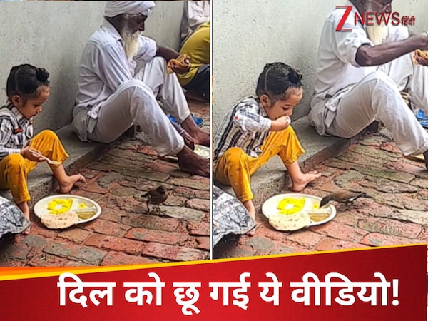 bird eating food with this boy video reel viral on internet trending ...