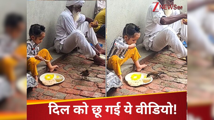 bird eating food with this boy video reel viral on internet trending ...