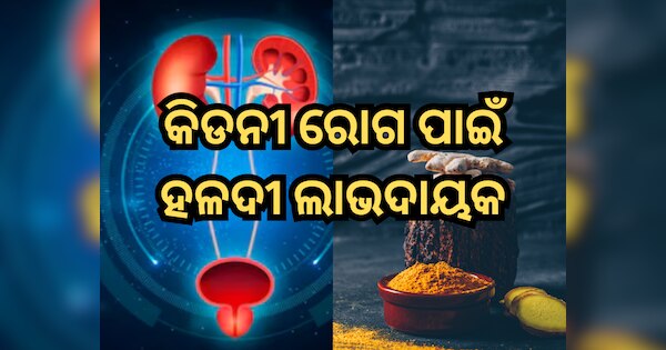Turmeric and Kidney Health: କିଡନୀ ରୋଗ ପାଇଁ ହଳଦୀ ଲାଭଦାୟକ, ଗବେଷଣାରେ ଦାବି ...