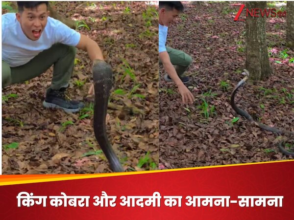 Angry king cobra attack man and snake video viral instagram reels trending news | Snake Video ...