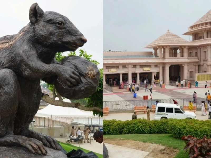 Squirrel statue installed in Ram mandir on Angad mound symbol of Ram ...