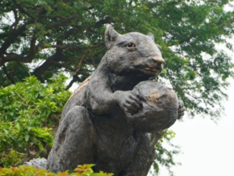 Squirrel statue installed in Ram mandir on Angad mound symbol of Ram ...