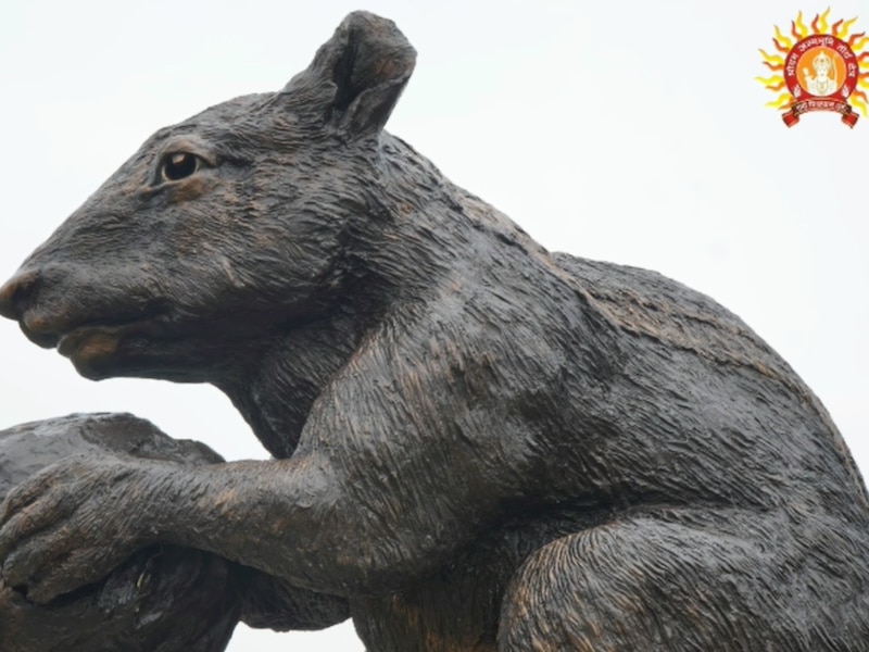 Squirrel statue installed in Ram mandir on Angad mound symbol of Ram ...