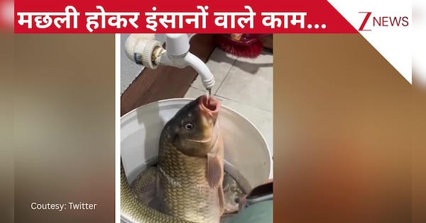 fishing drinking water from tap like humans people were shocked to see ...