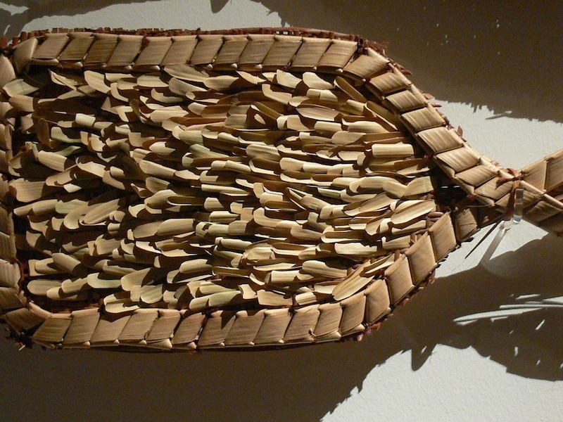 Brazilian Tribe Uses Bullet Ant Gloves to Initiate Boys Into Manhood ...