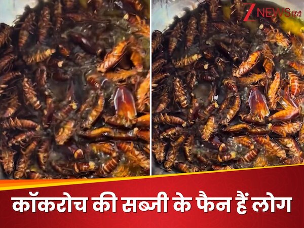 Viral Video Cockroach Ki Sabji Shows Deep Fried Cockroach Dish | आलू-गोभी नहीं, यहां कॉकरोच की ...