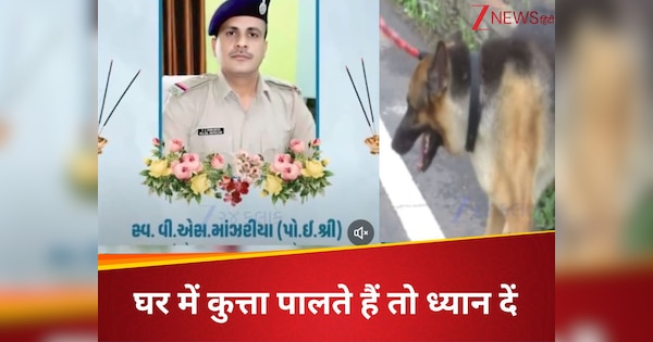 ahmedabad inspector dies due to rabies german shepherd dog nail scratch ...
