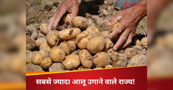 Largest Potato Producing State known as aalu ka katora If cultivation ...
