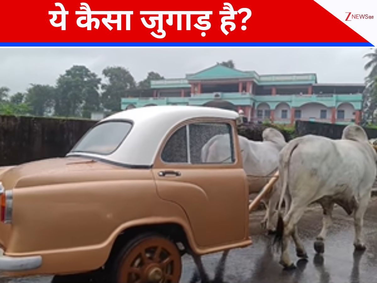 car body was placed on a bullock cart bailgadi ka jugaad video viral on ...