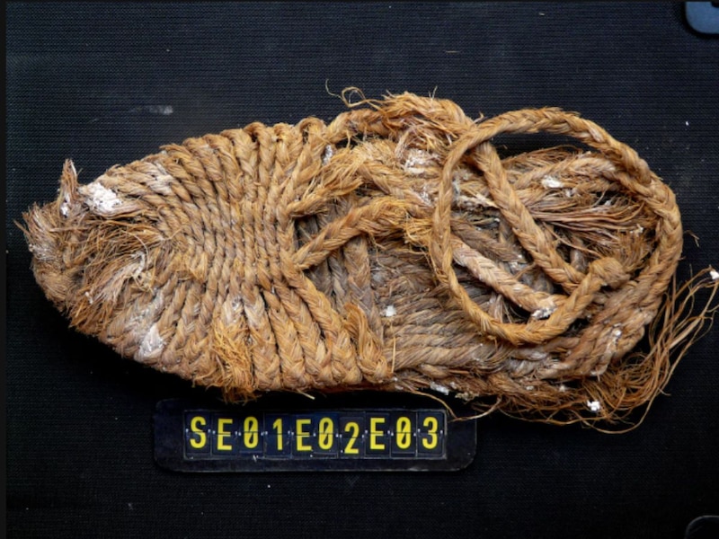 A 650 Year Old Shoe Found in Vulture Nest Unlocks Hidden Secrets of ...