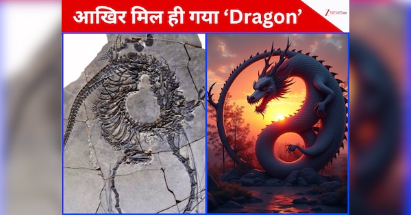 scientists in china found 24 crore year old dragon like fossil of ...