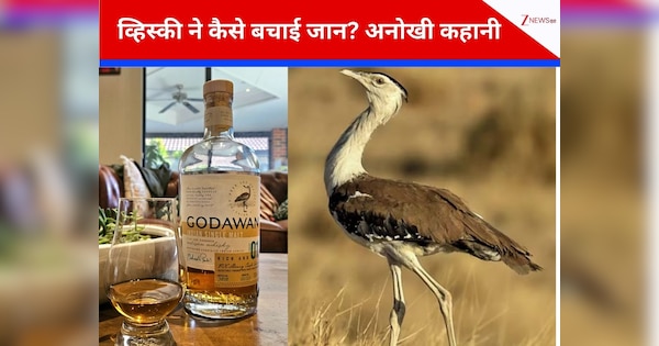 Godawan whisky made to help a critically endangered godawan 120 bird ...