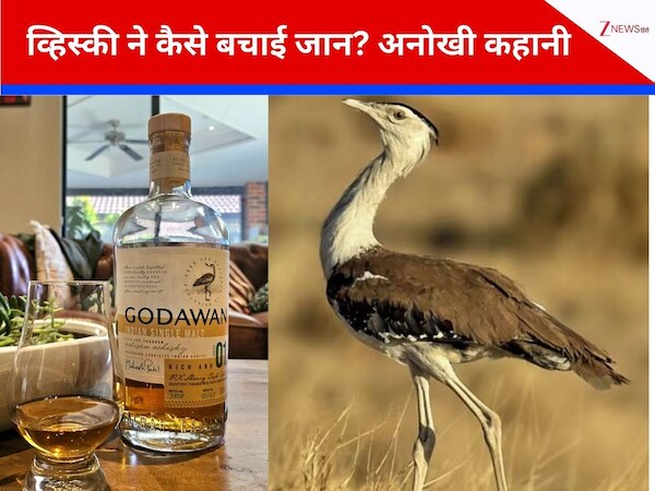 Godawan whisky made to help a critically endangered godawan 120 bird ...