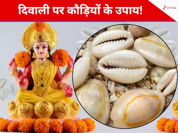 Diwali 2025 Kaudi Ke Upay you may do these easy totke using cowries on ...