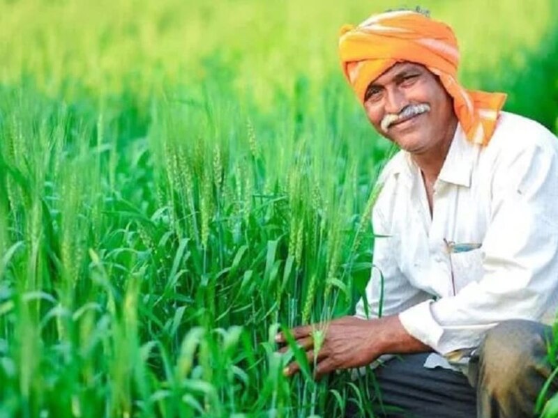 Big gift for farmers on Dhanteras diwali 2025 CM Mohan will transfer ...