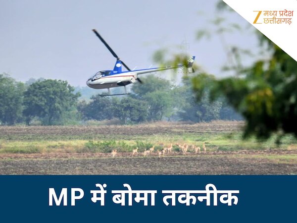 using helicopter powered boma technique to drive away deer that are ...