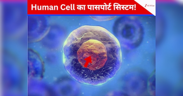 israel and american scientists discover about molecular passport which ...