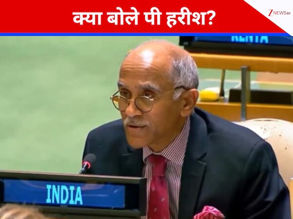India at UNSC P Harish thanks Russia for peace in Gaza and Palestine ...