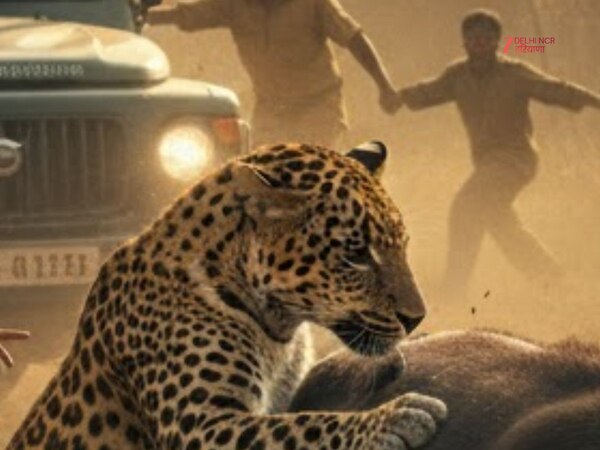 Leopard terror in Burari Delhi seen in Biodiversity Park attacks cattle ...