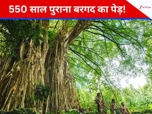 duniya ka sabse bada ped kaun sa hai World Largest thimmamma marrimanu ...