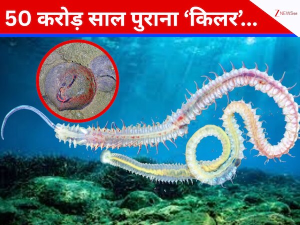 scientists found a 50 crore year old killer parasite in sea and named ...